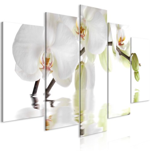 Billede - Wonderful Orchid (5 dele) Wide