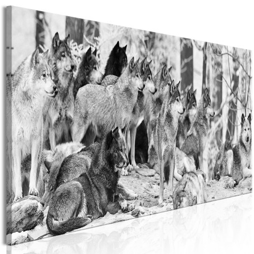 Billede - Wolf Pack (1 Part) Narrow